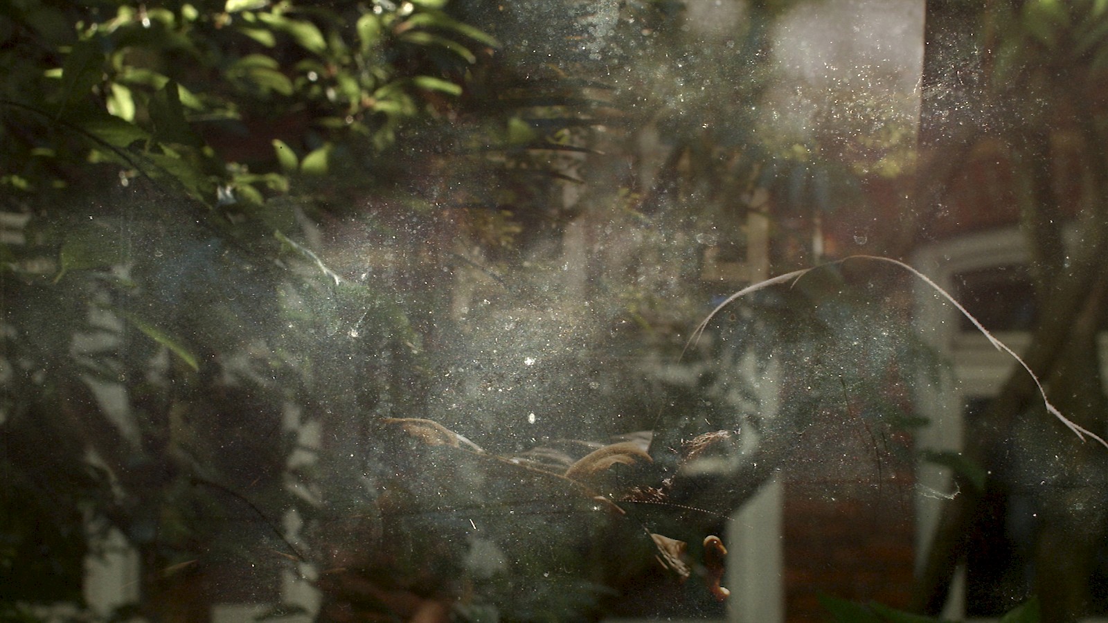 Filament: TAM Cinema screening "Return to Form" short film program ...